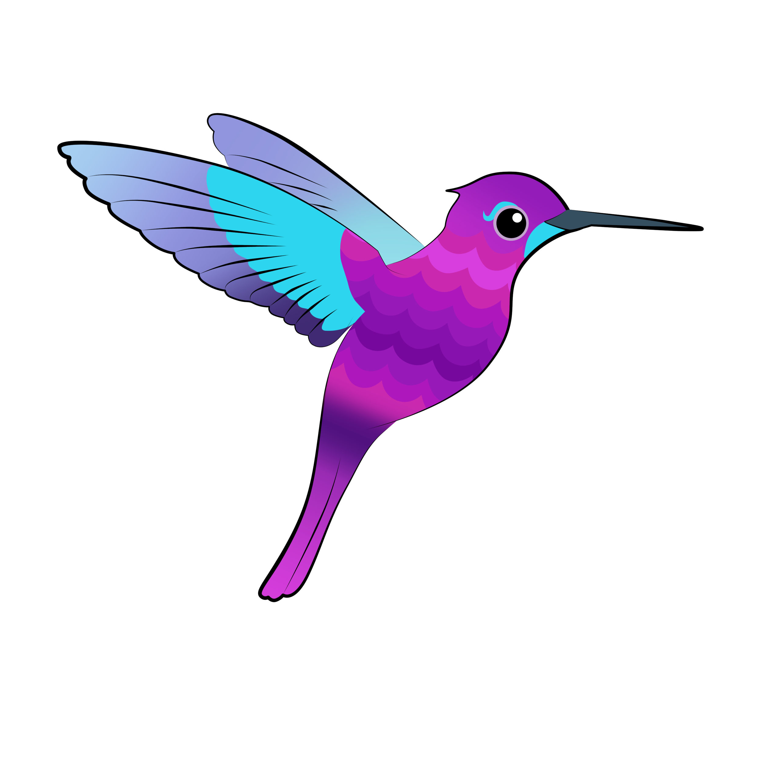 Hummingbirds - Halcyon Way School